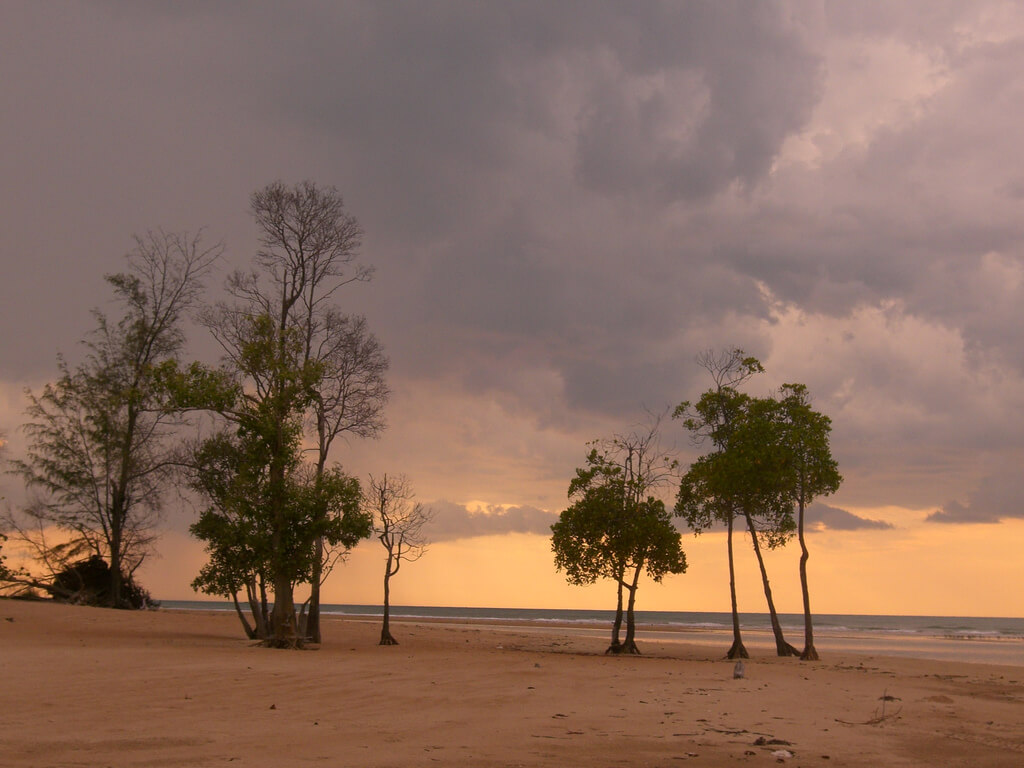 Quando ir para Darwin? A melhor época - Tempo e Clima. 5 meses a evitar!