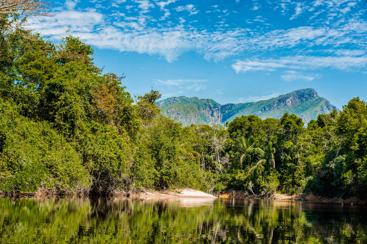 Onde e Quando Ir para o Guiana? a Melhor época - Tempo e Clima - Onde e ...